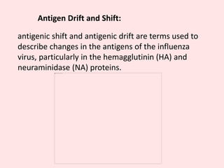 Antigenic structure of influenza virus, antigen drift and shift | PPTX