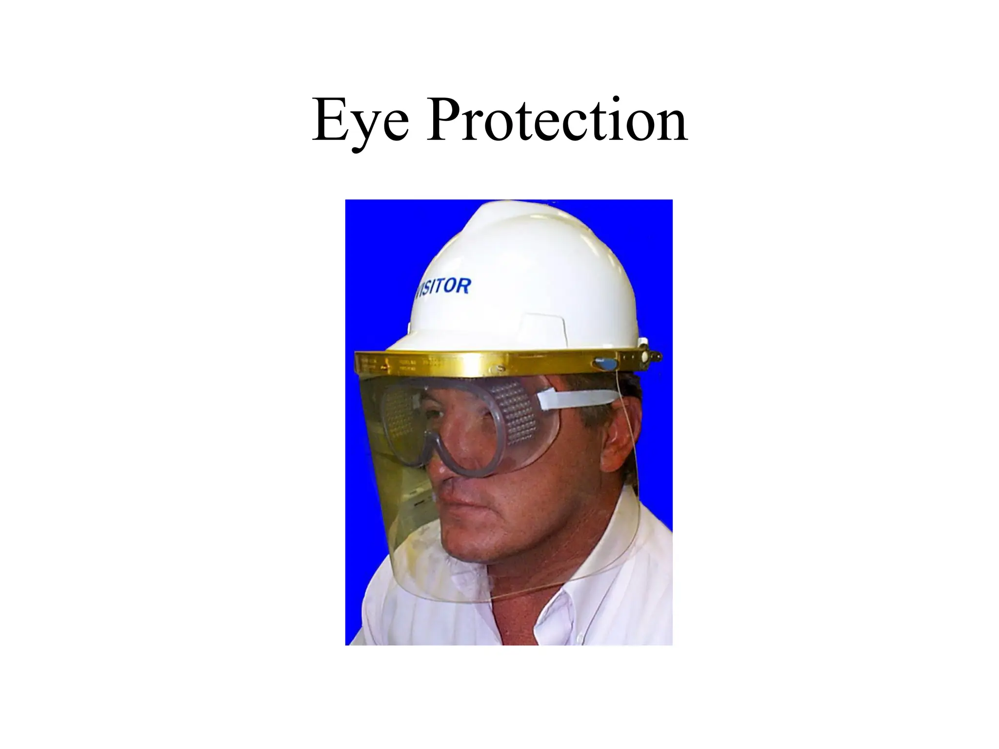 PPE Safety مهمات الوقاية الشخصية HEAD PROTECTION | PDF