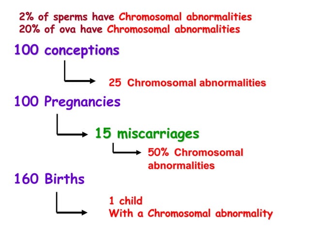 Chromosomal Genetics | PPT