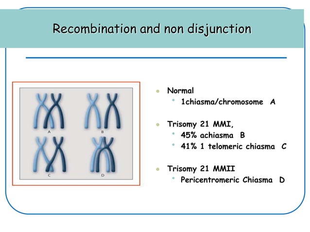 Chromosomal Genetics | PPT