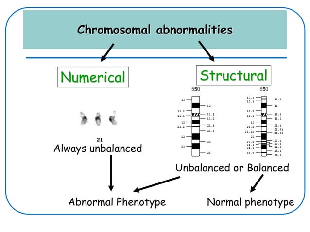 Chromosomal Genetics | PPT