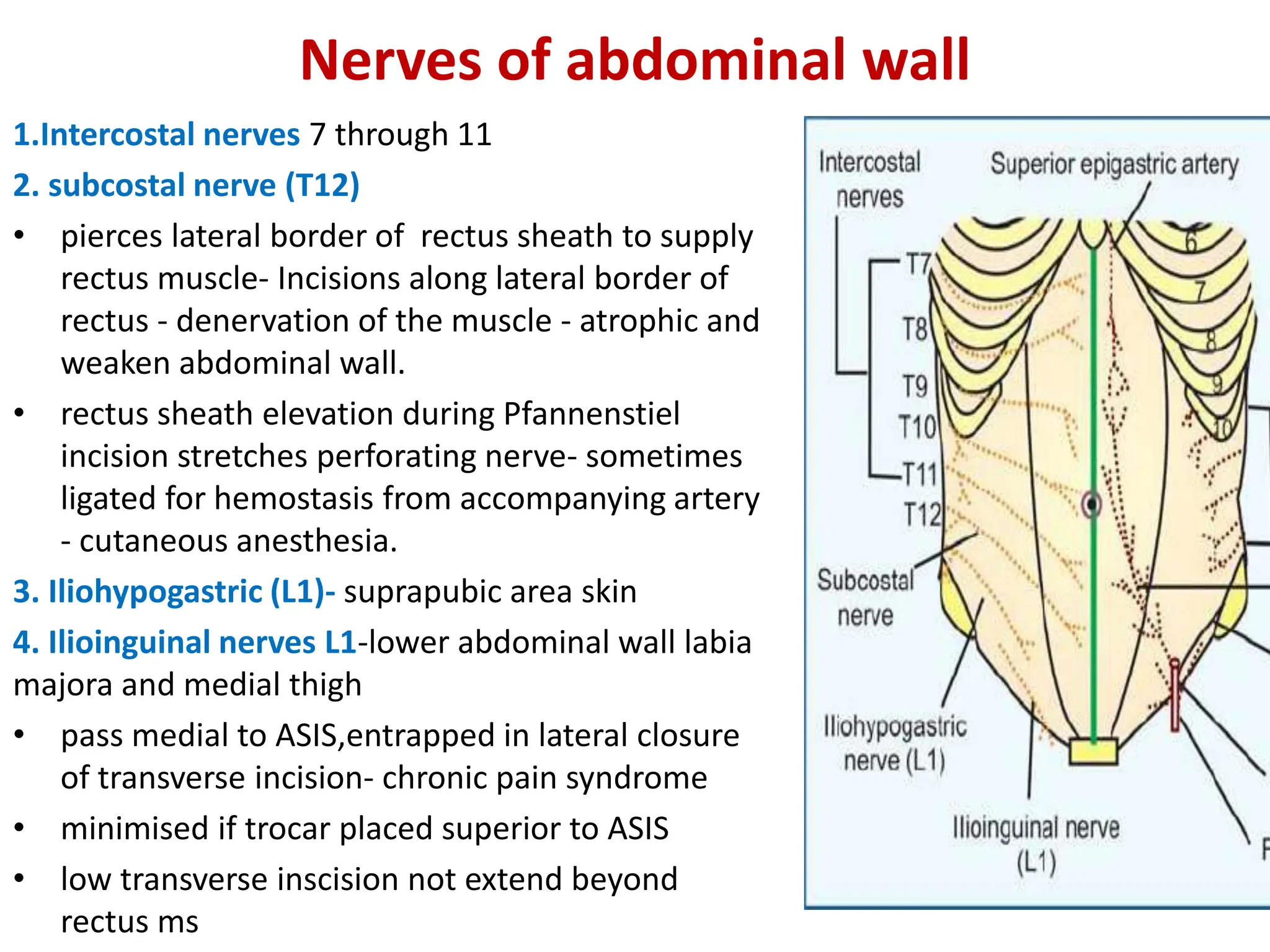 Anatomy of Pelvic structures and It's correlation | PPTX