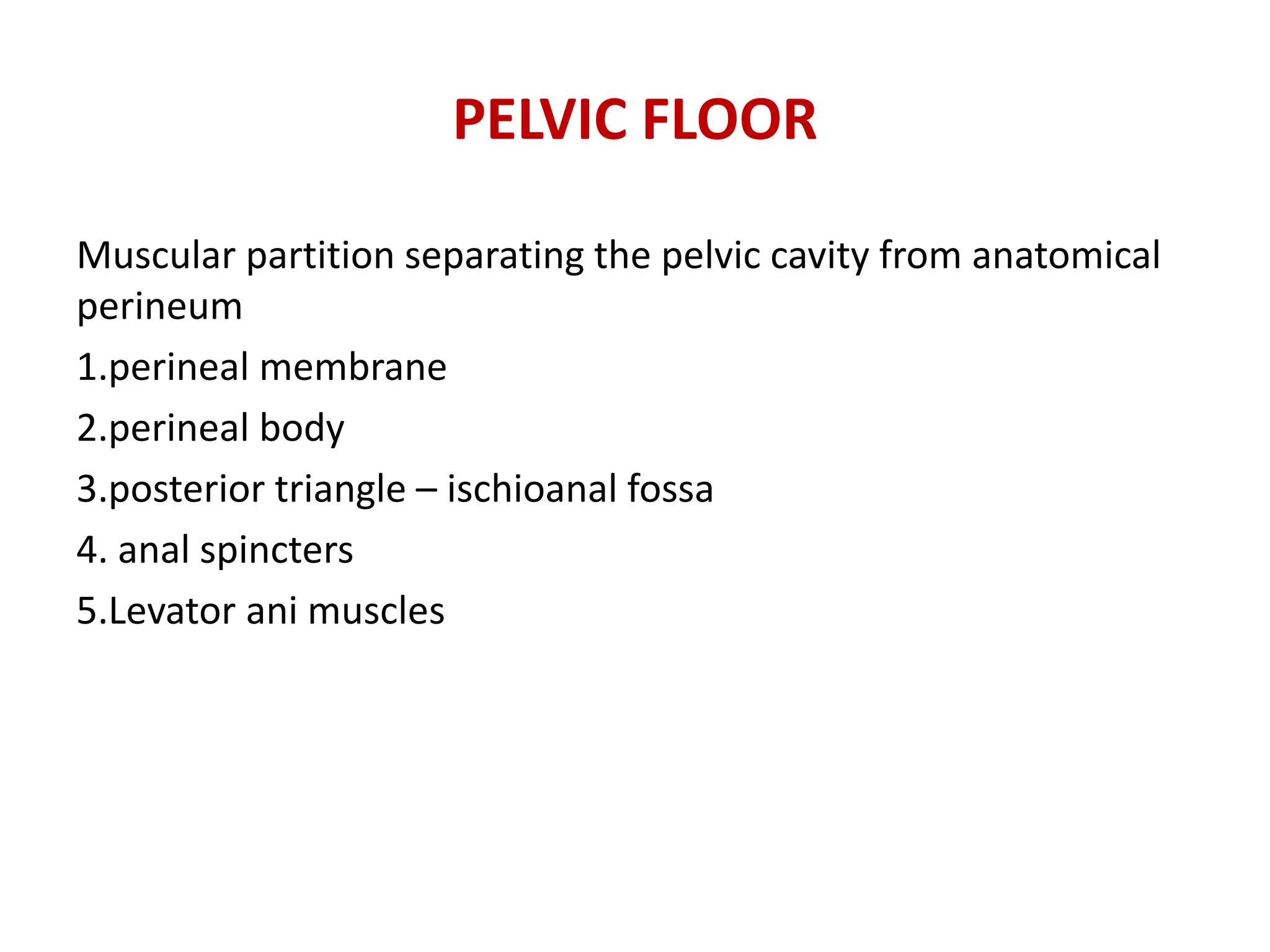 Anatomy of Pelvic structures and It's correlation | PPTX