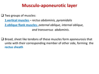 Anatomy of Pelvic structures and It's correlation | PPTX