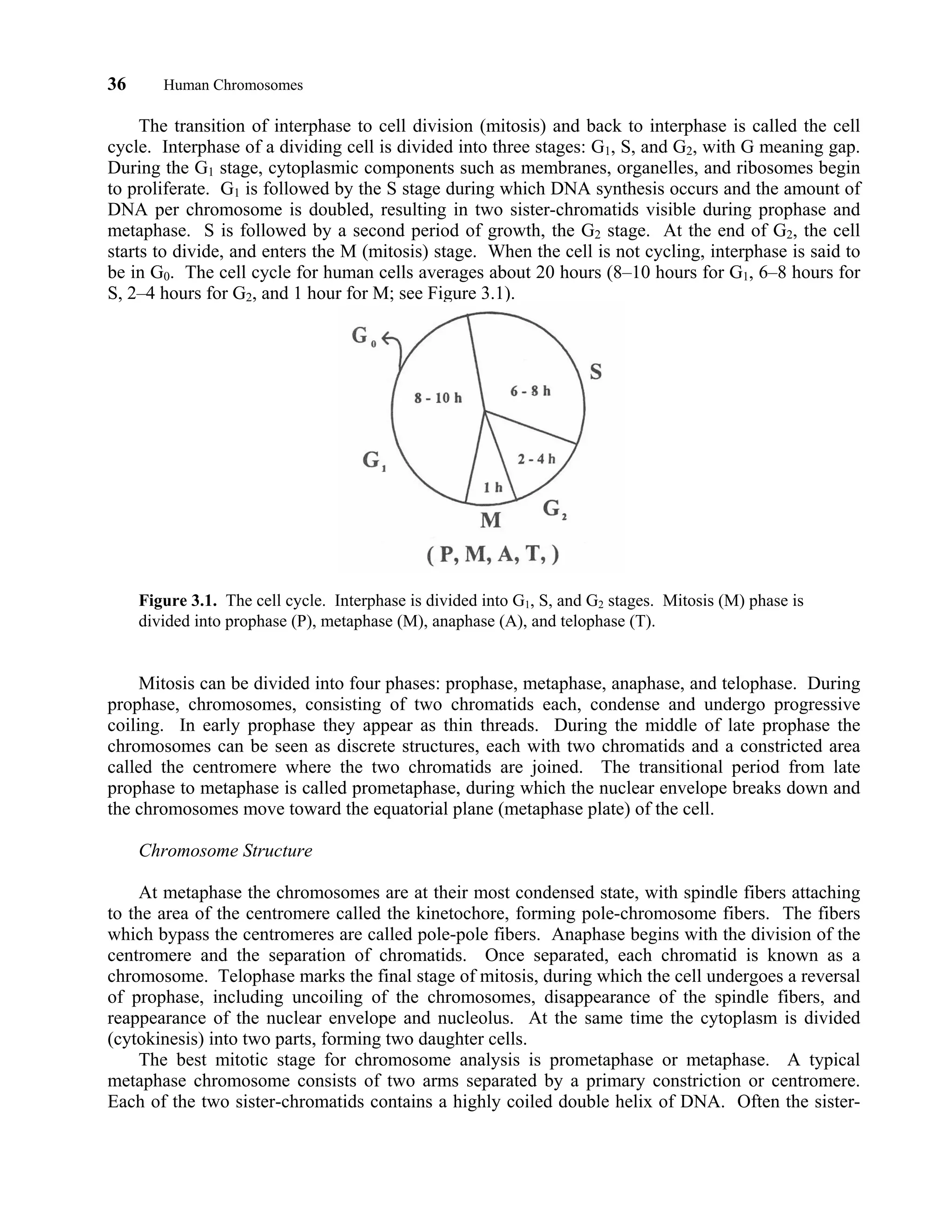 Human Chromosome Analysis | PDF