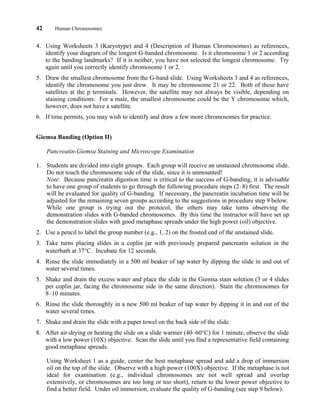 Human Chromosome Analysis | PDF
