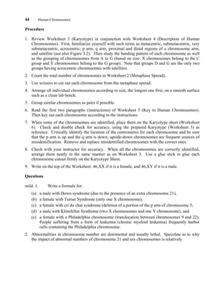 Human Chromosome Analysis | PDF