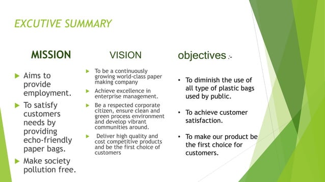PROJECT ON PAPER BAG INDUSTRY | PPTX