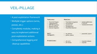 THE VEIL FRAMEWORK | PPT