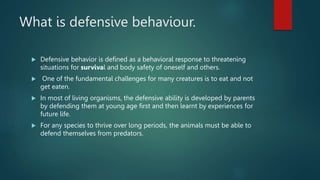 NUMAN Fisheries.pptx