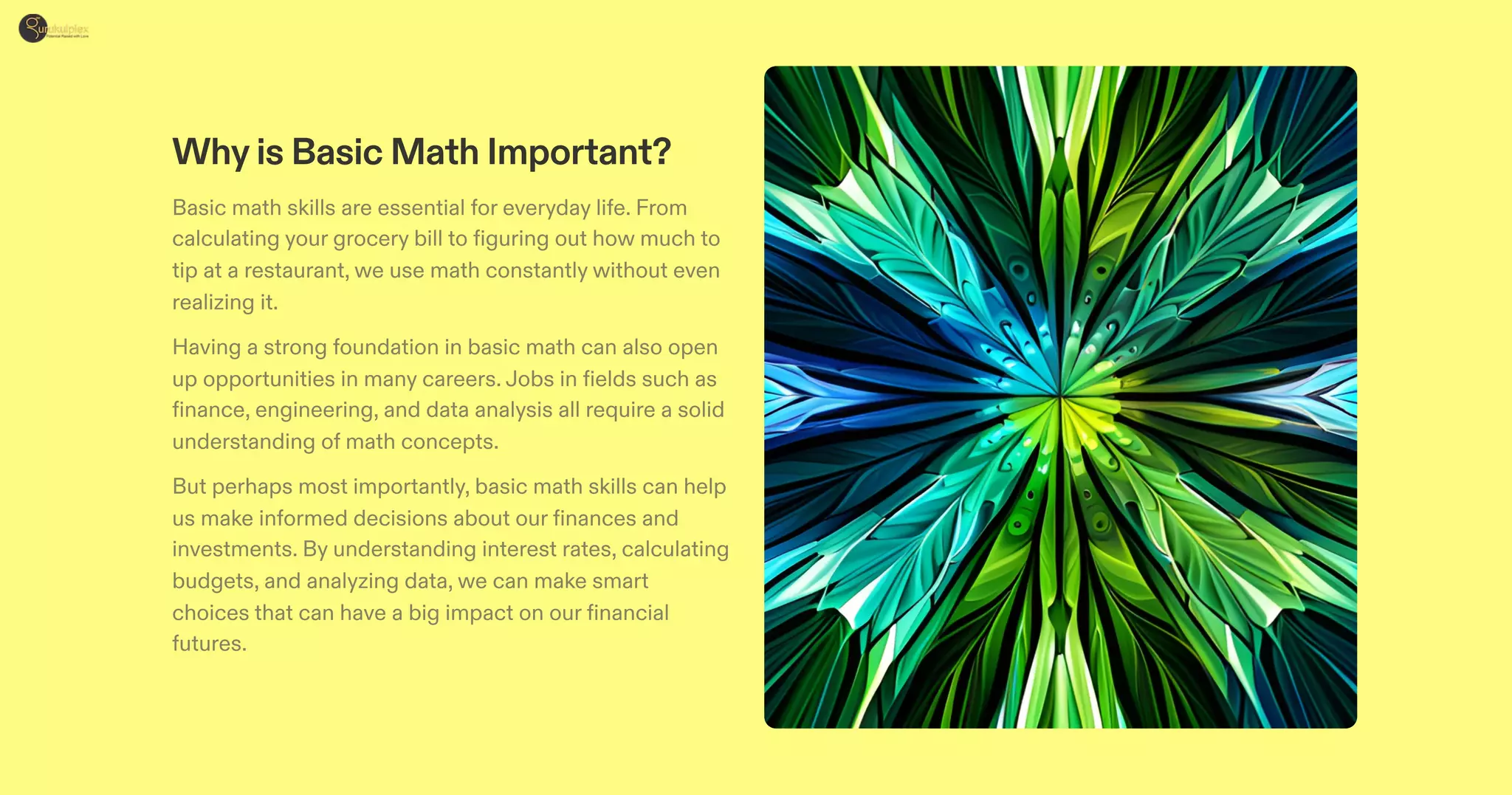 number-magic-unlock-the-secrets-of-basic-math.pdf