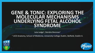 UCD SSRA Presentation | PPT