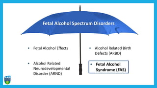 UCD SSRA Presentation | PPT