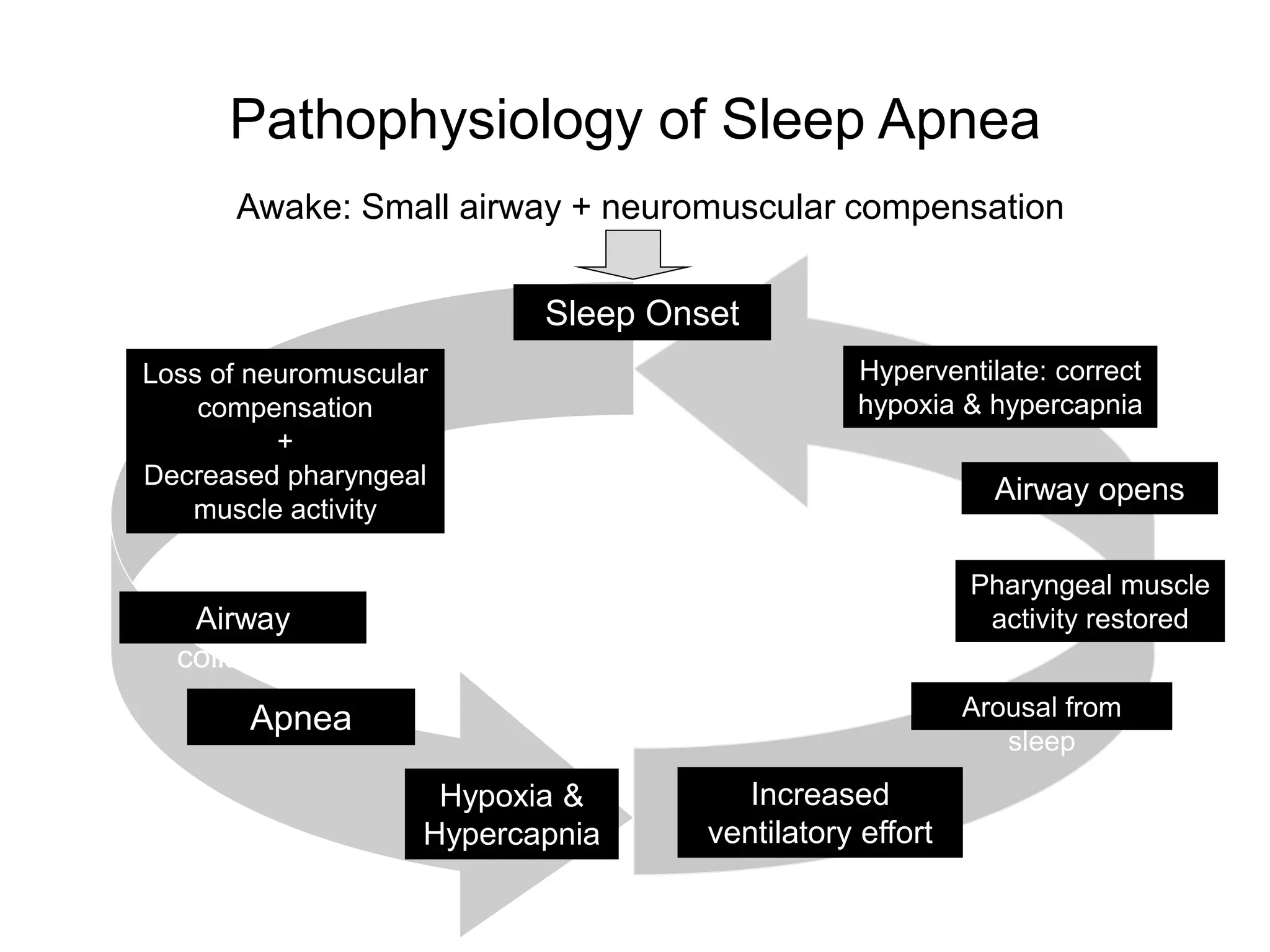 Obstructive Sleep Apnea and obesity | PPTX