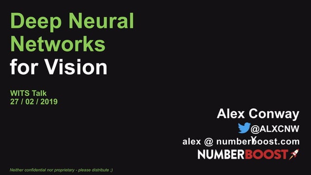 Deep Neural Networks for Computer Vision | PPT
