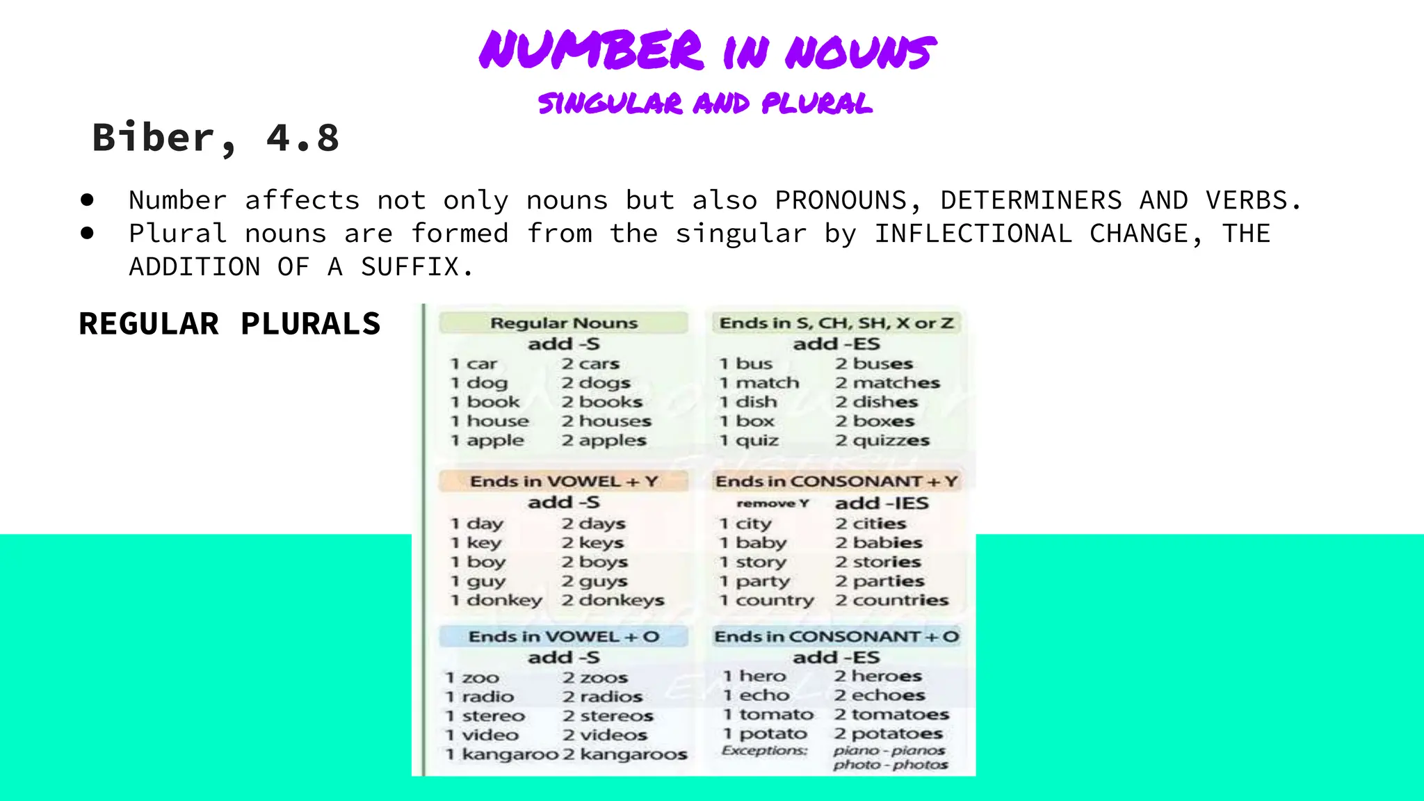 NUMBER & GENDER in nouns apuntesingles.pptx