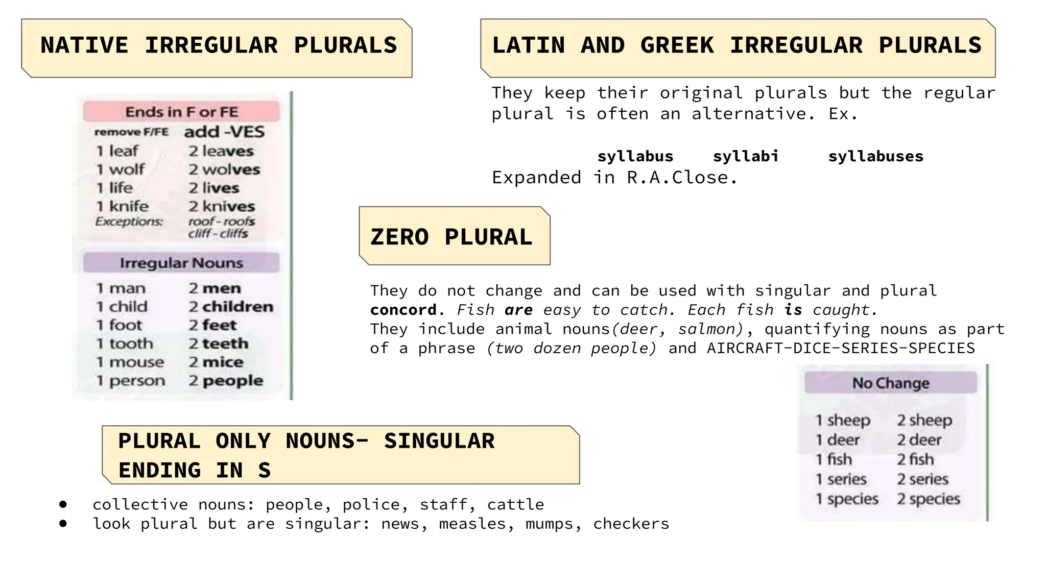NUMBER & GENDER in nouns apuntesingles.pptx