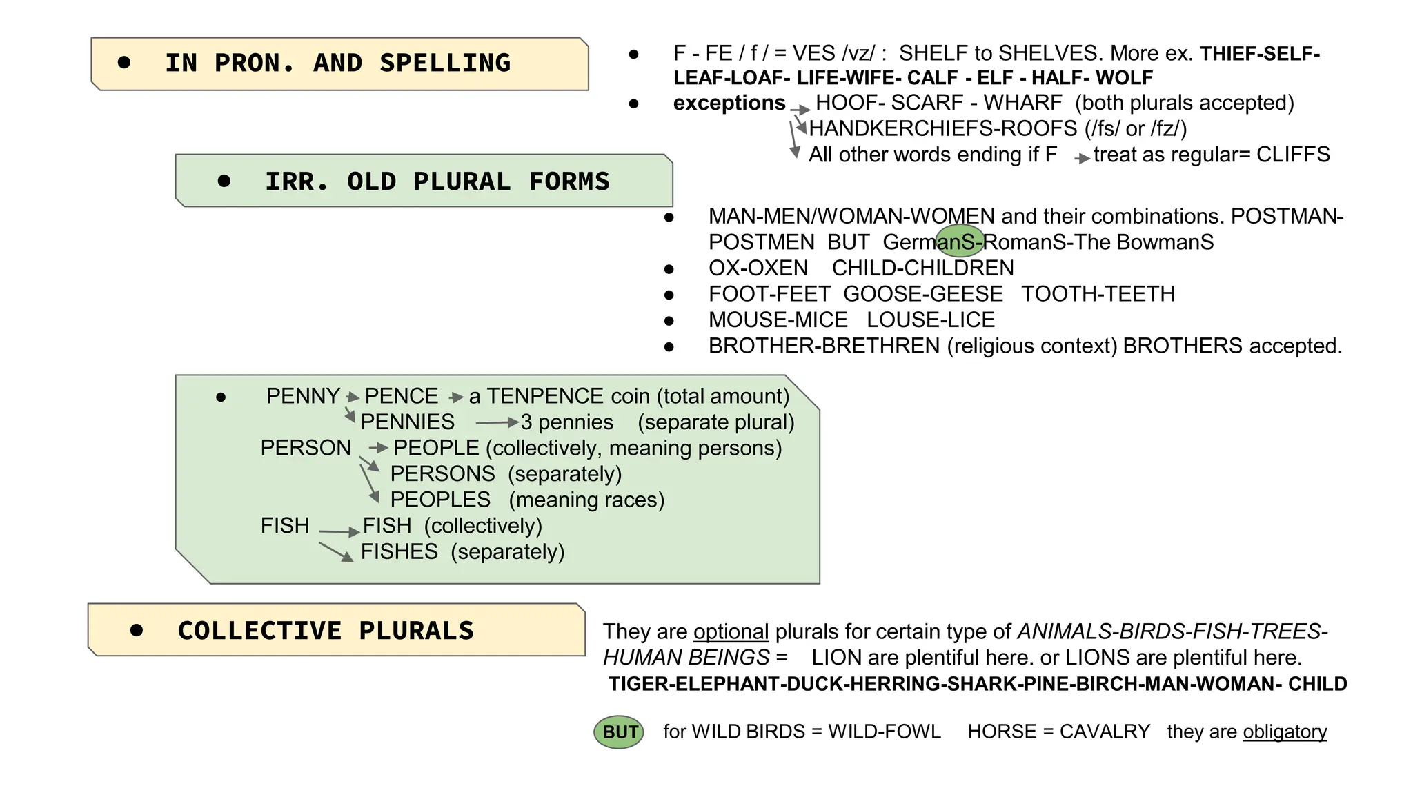 NUMBER & GENDER in nouns apuntesingles.pptx