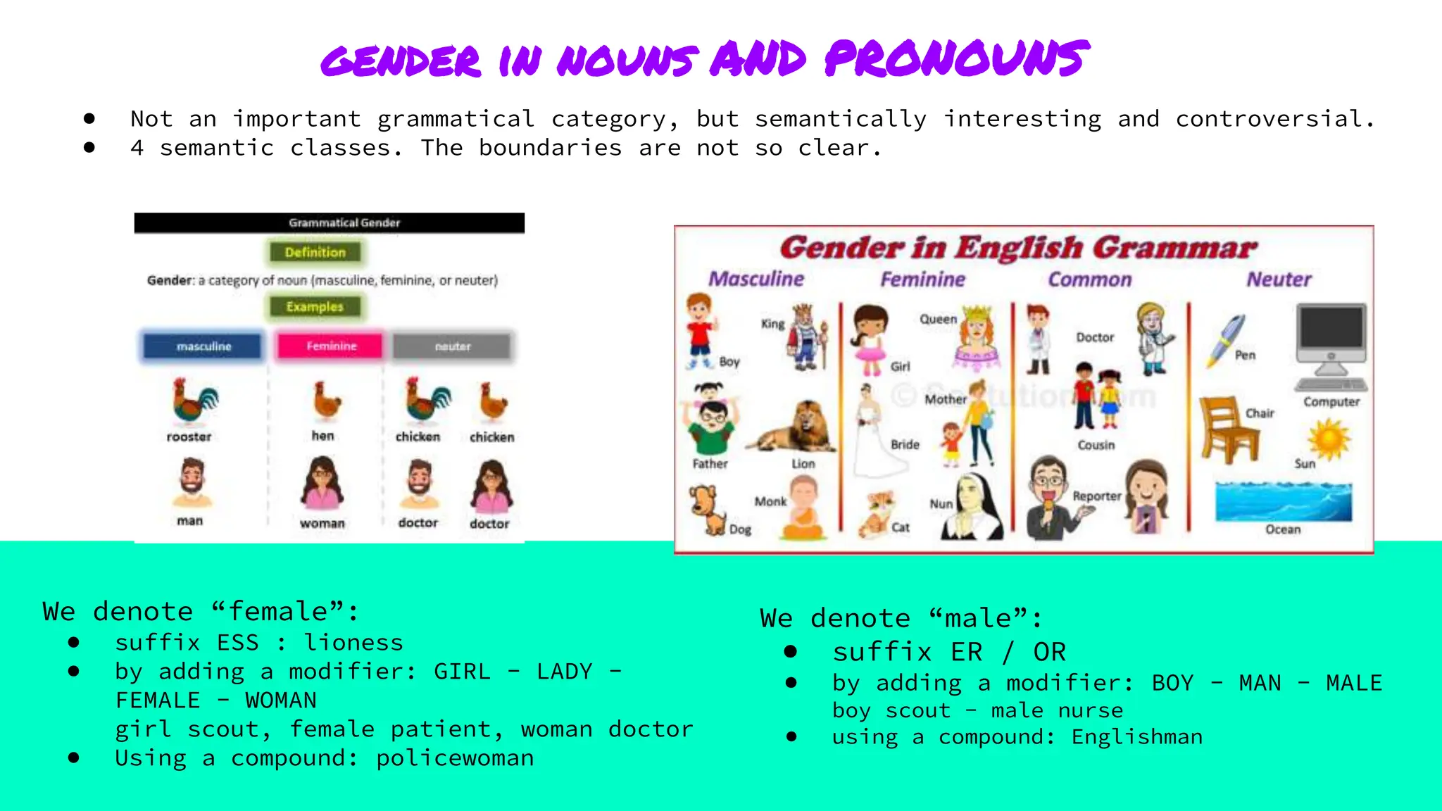 NUMBER & GENDER in nouns apuntesingles.pptx
