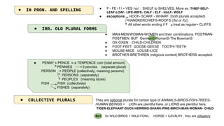 NUMBER & GENDER in nouns apuntesingles.pptx