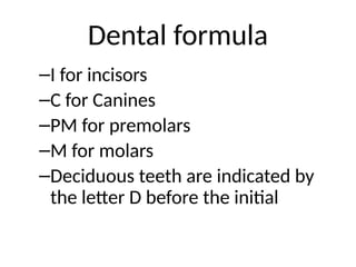 Tooth numbering system for BDS students.pptx