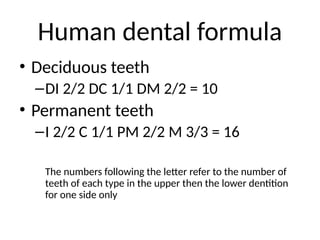 Tooth numbering system for BDS students.pptx
