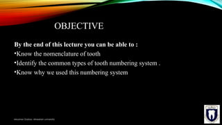 Numbering system dental anatomy | PPT