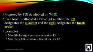 Numbering system dental anatomy | PPT