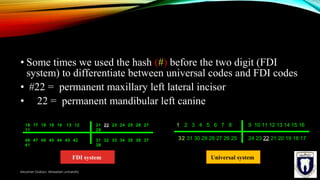 Numbering system dental anatomy | PPT