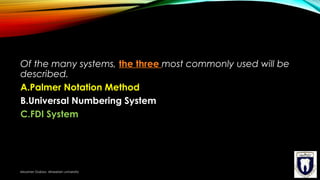 Numbering system dental anatomy | PPT