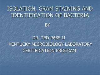 The Process of GRAM STAINING of specimens | PPT