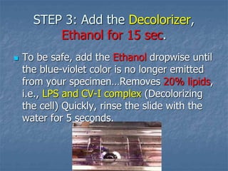 The Process of GRAM STAINING of specimens | PPT