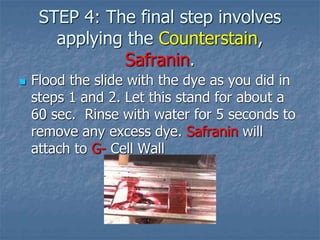 The Process of GRAM STAINING of specimens | PPT