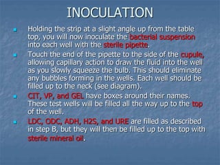 The Process of GRAM STAINING of specimens | PPT