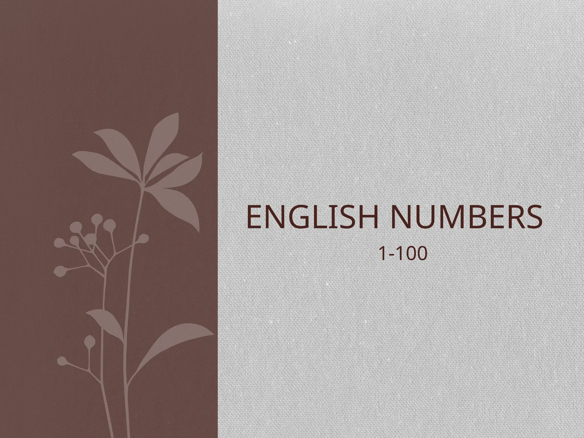 introduction to English numbers-1100_68817.ppt