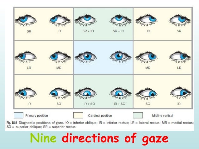 Numero-Ophthalmology