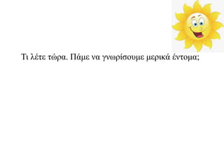 H Άνοιξη και οι φίλοι της. Μία παρουσίαση της Σάσας Καραγιαννίδου ...