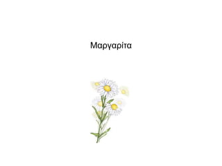 H Άνοιξη και οι φίλοι της. Μία παρουσίαση της Σάσας Καραγιαννίδου ...