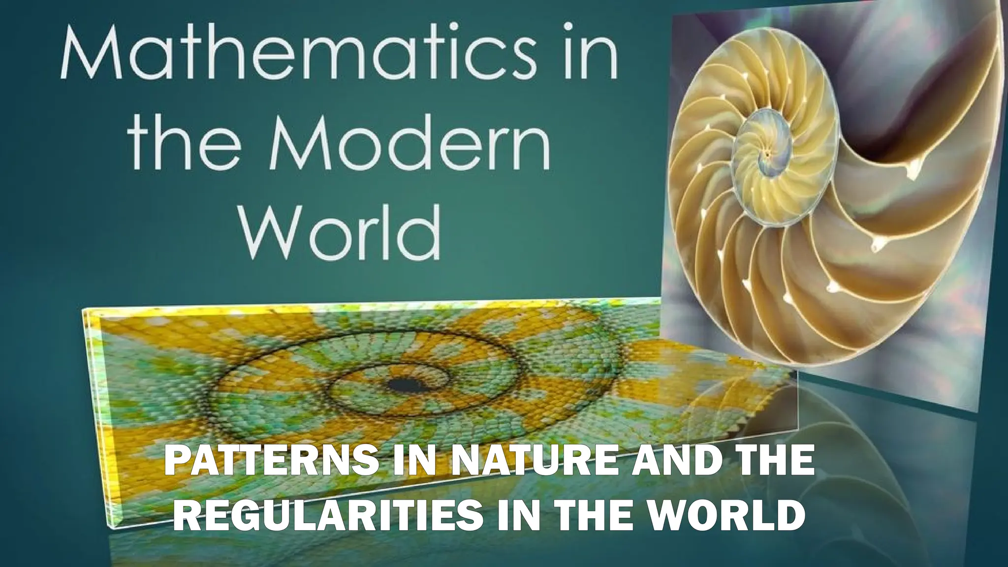 Numbers-and-Patterns-in-Nature-and-the-Modern-World.pptx