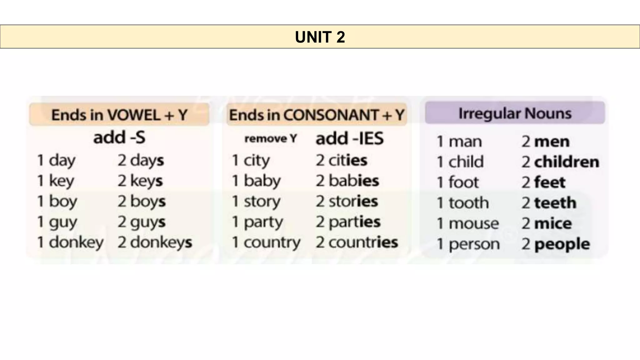 Numbers - Plural nouns - Present Perfect Tense.pptx