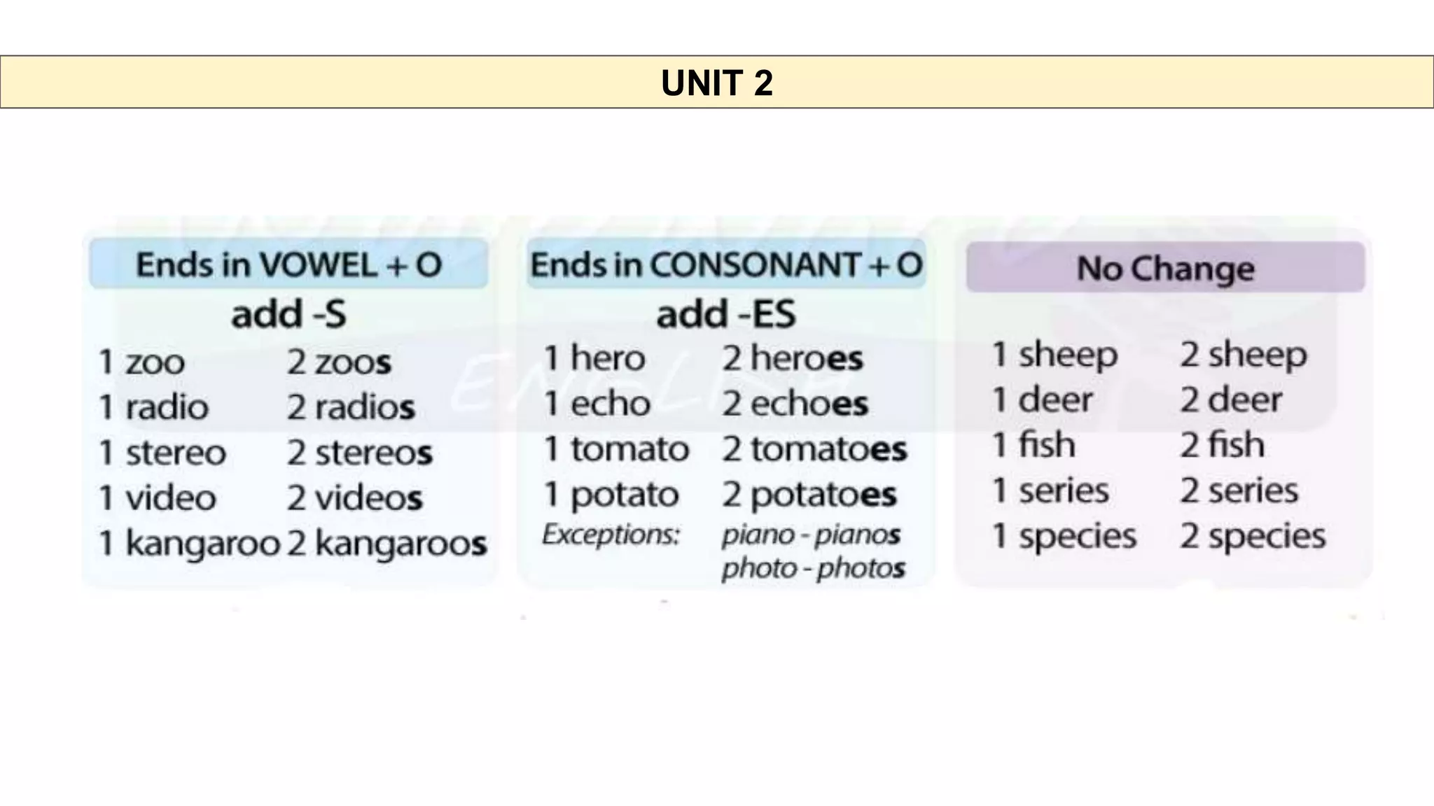 Numbers - Plural nouns - Present Perfect Tense.pptx