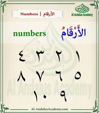 numbers in Arabic | PDF