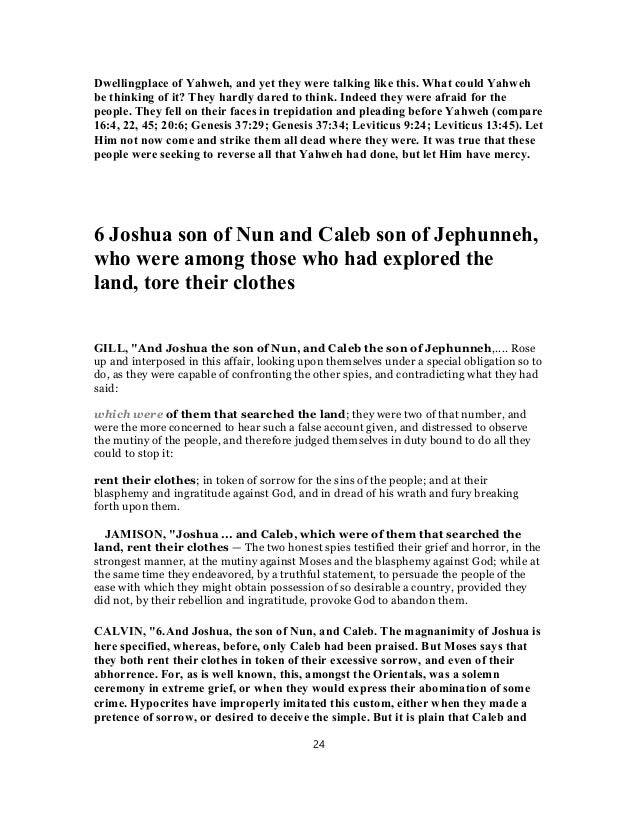 Numbers 14 Commentary numbers-14-commentary