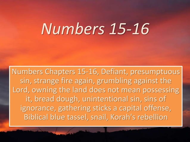 Numbers 15-16, Presumptuous unintentional ignorance sin, grumbling ...