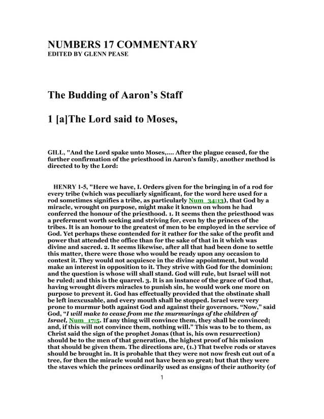 Numbers 17 Commentary PDF Numbers 17 Commentary PDF