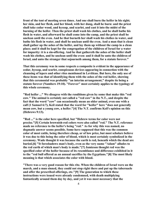 Numbers 19 Commentary PDF