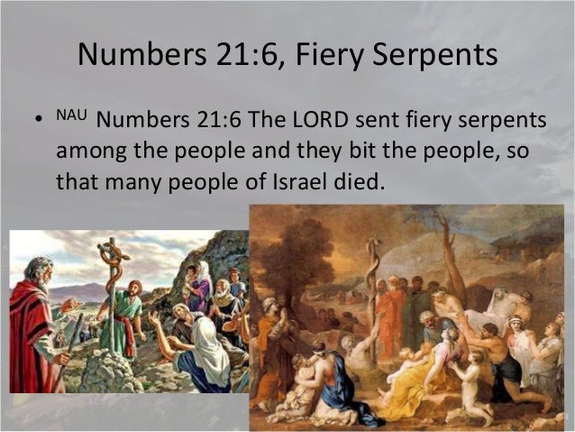 Fiery Serpent