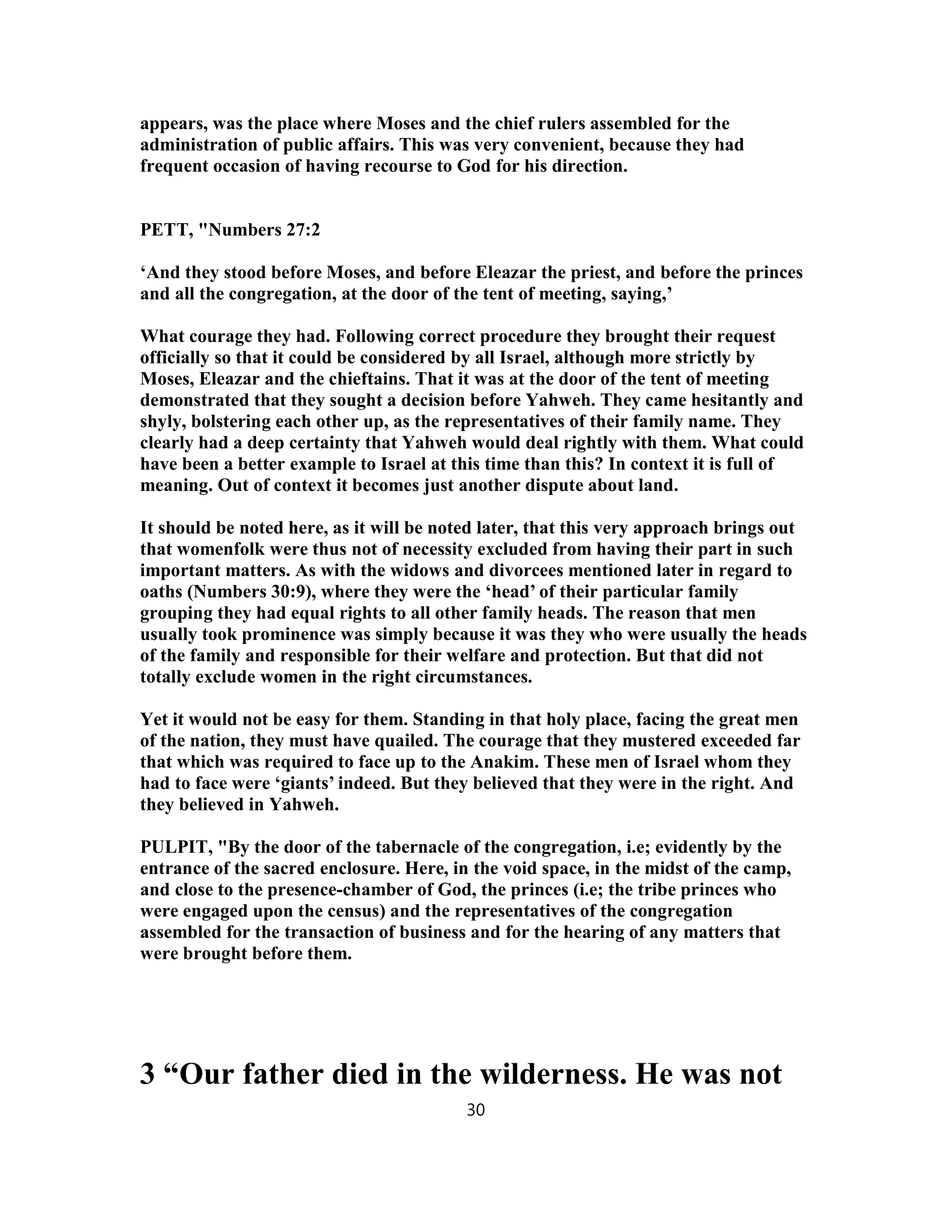 Numbers 27 commentary | PDF