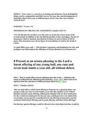 Numbers 29 commentary | PDF