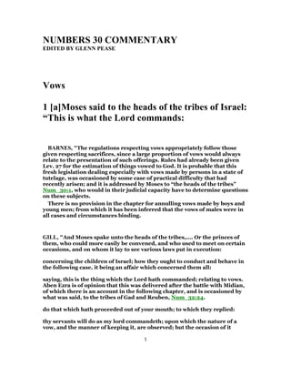 Numbers 30 commentary | PDF